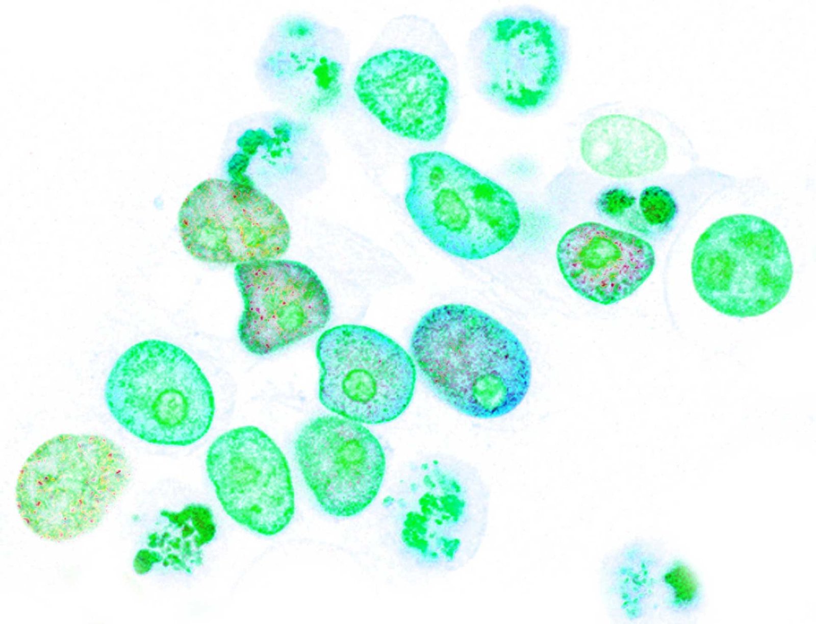 About us – Chiron Biotech